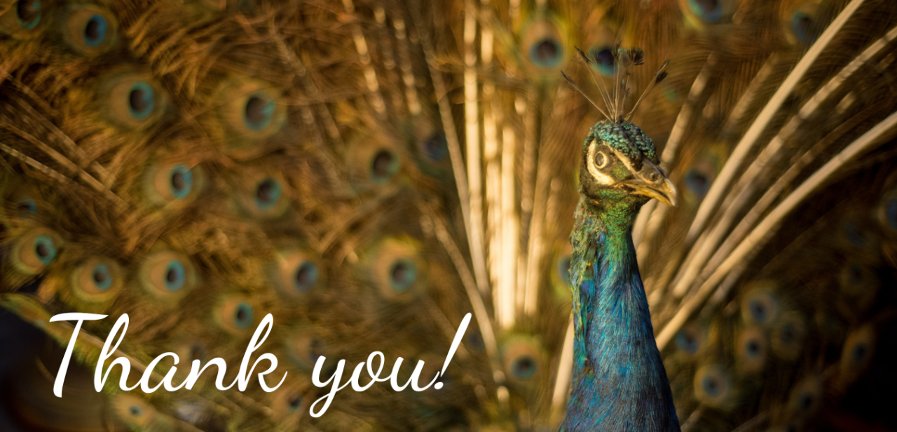 Thank you - Fairbanks Museum & Planetarium