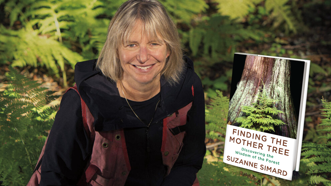 William Eddy Lecture Series - Fairbanks Museum & Planetarium